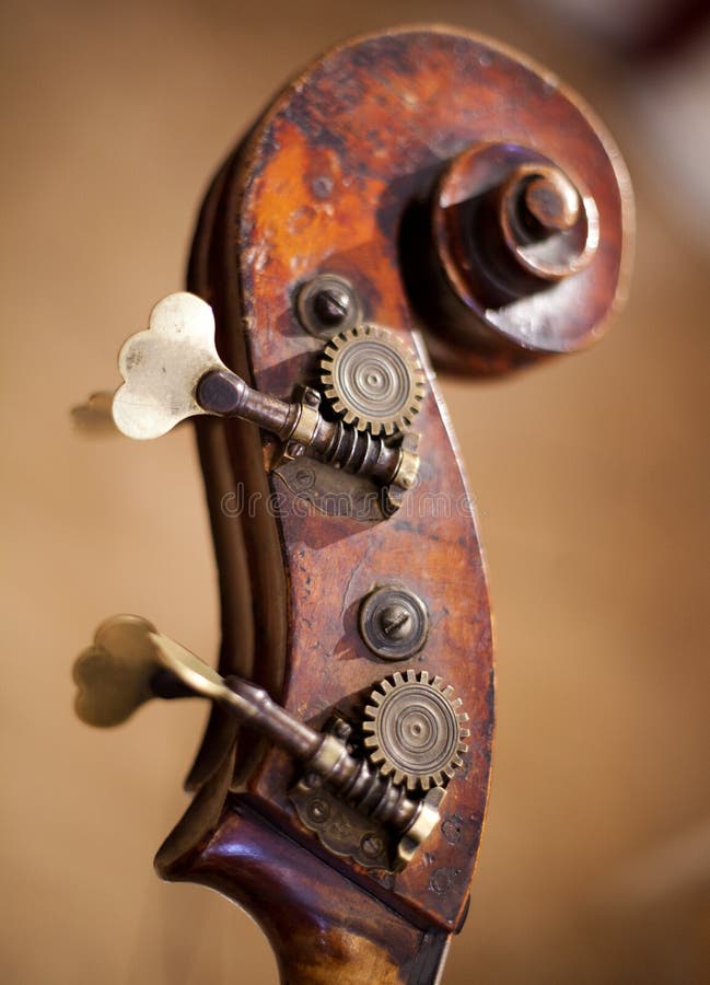 Double Bass stock photo. Image of white, ensemble, double - 30086942