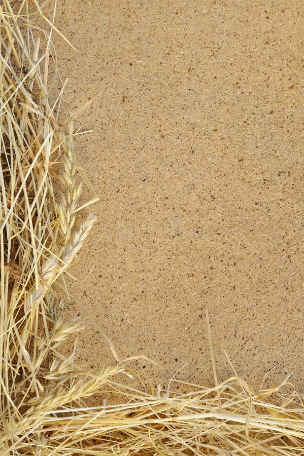 Detail of Dry Grass Hay and OSB, Oriented Strand B Stock Image - Image ...