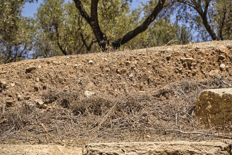 Detail of Dry Soil in Mediterranean Region Stock Image - Image of ...