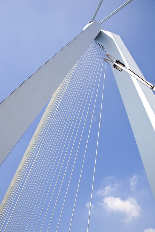 Detail of Erasmus Bridge in Rotterdam Editorial Photo - Image of ...