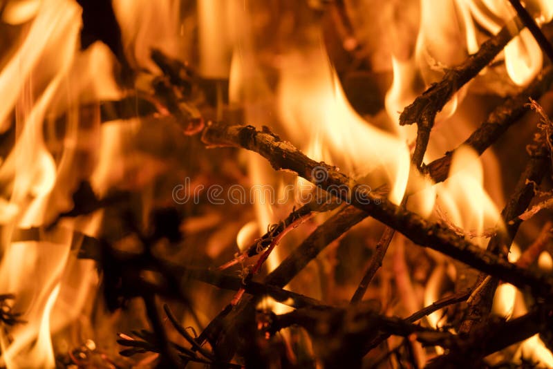 Detail on the Fire with Burning Twigs, Logs and Leaves Stock Image ...