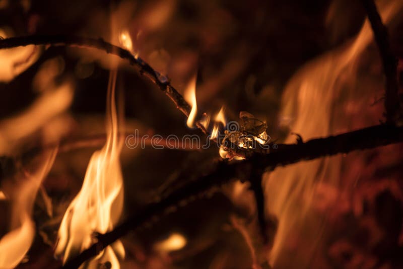 Detail on the Fire with Burning Twigs, Logs and Leaves Stock Photo ...