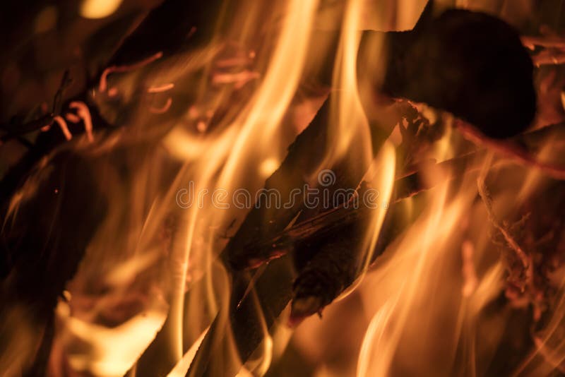 Detail on the Fire with Burning Twigs, Logs and Leaves Stock Image ...