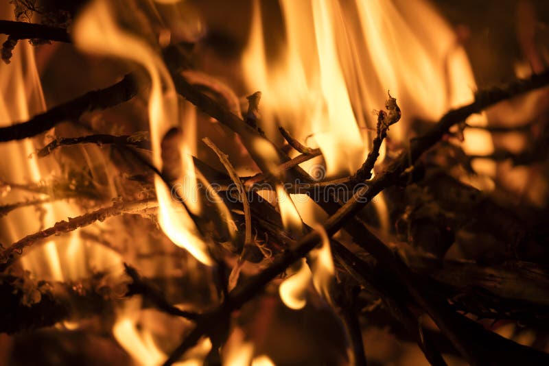 Detail on the Fire with Burning Twigs, Logs and Leaves Stock Image ...