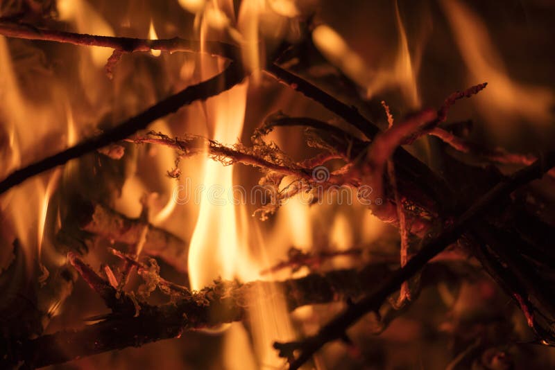 Detail on the Fire with Burning Twigs, Logs and Leaves Stock Image ...