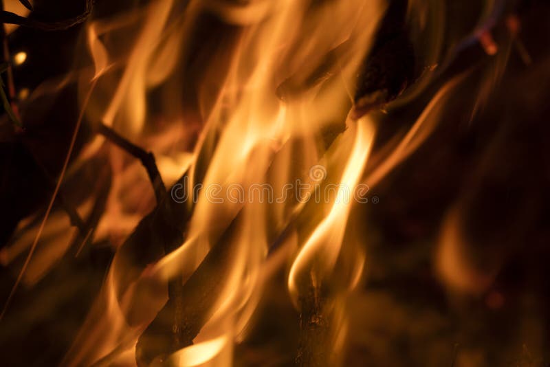 Detail On The Fire With Burning Twigs, Logs And Leaves Stock Image ...