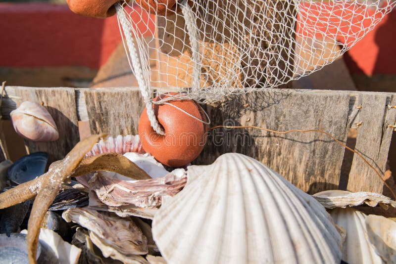 Detail of a Fishing Net and a White Shell. Stock Image - Image of ...