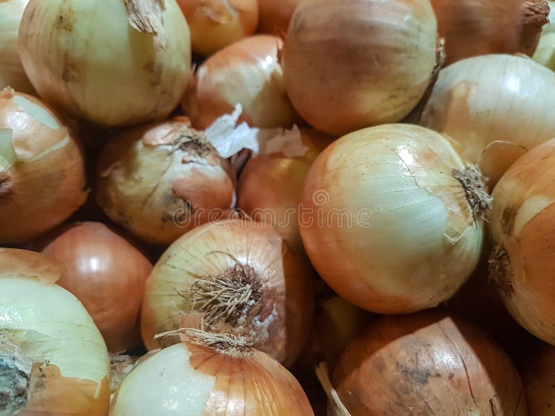 Fresh Organic Onions Texture Background. Stock Image - Image of design ...