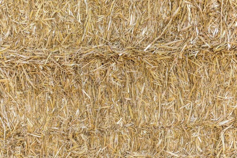 Detail of Golden Bale of Straw Stock Image - Image of feeding, horse ...