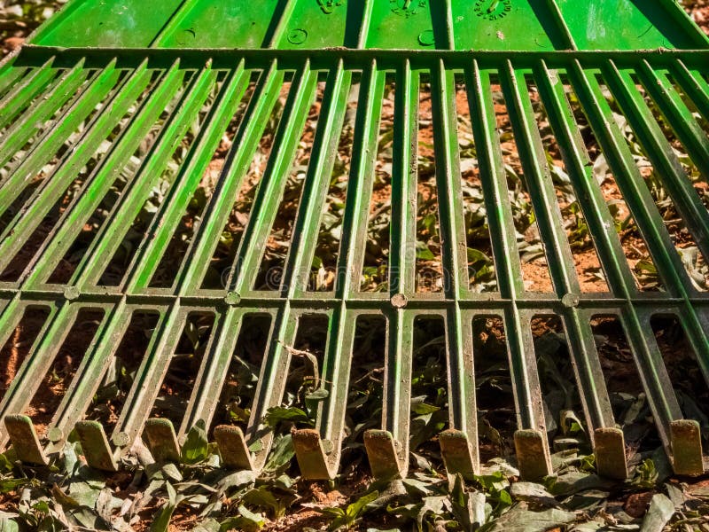 Detail of Green Rake on the Grass Stock Photo - Image of crop ...