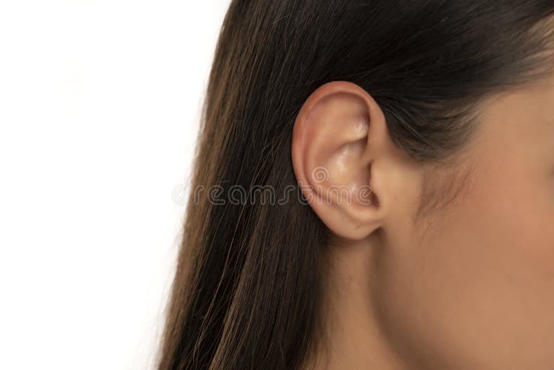 Female human ear stock image. Image of human, head, anatomy - 243982171