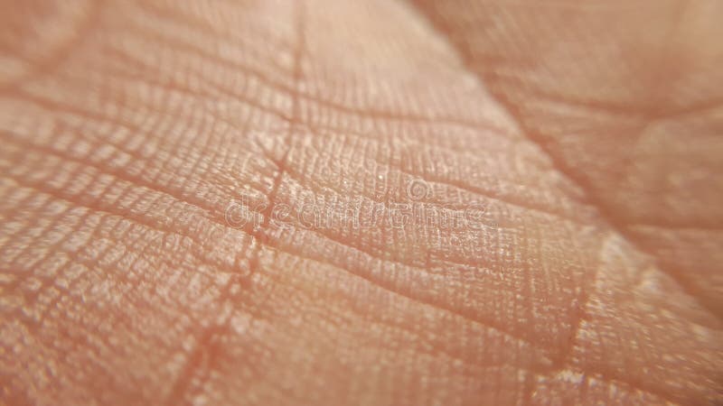 Skin Background. Closeup Human Skin. Hand Detail. Stock Photo - Image ...