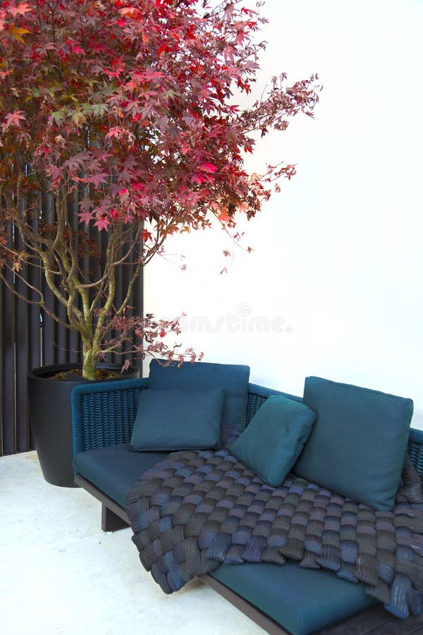 Autumn in interior stock photo. Image of organic, ripe - 6649482