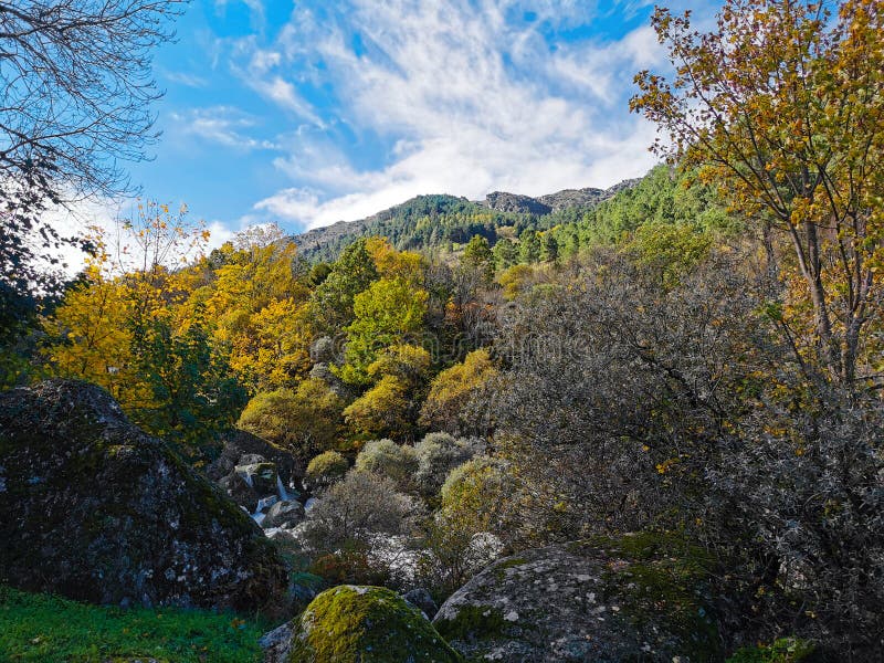 Detail of Landscape with Autumn Colors in the Trees Stock Image - Image ...