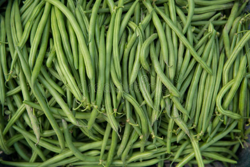 Green bean stock photo. Image of healthy, bean, commodity - 100977706