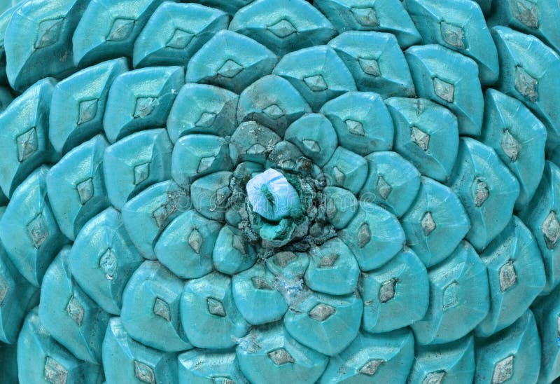 Detail of a Large Pine Cone Stock Photo - Image of large, empty: 285227458