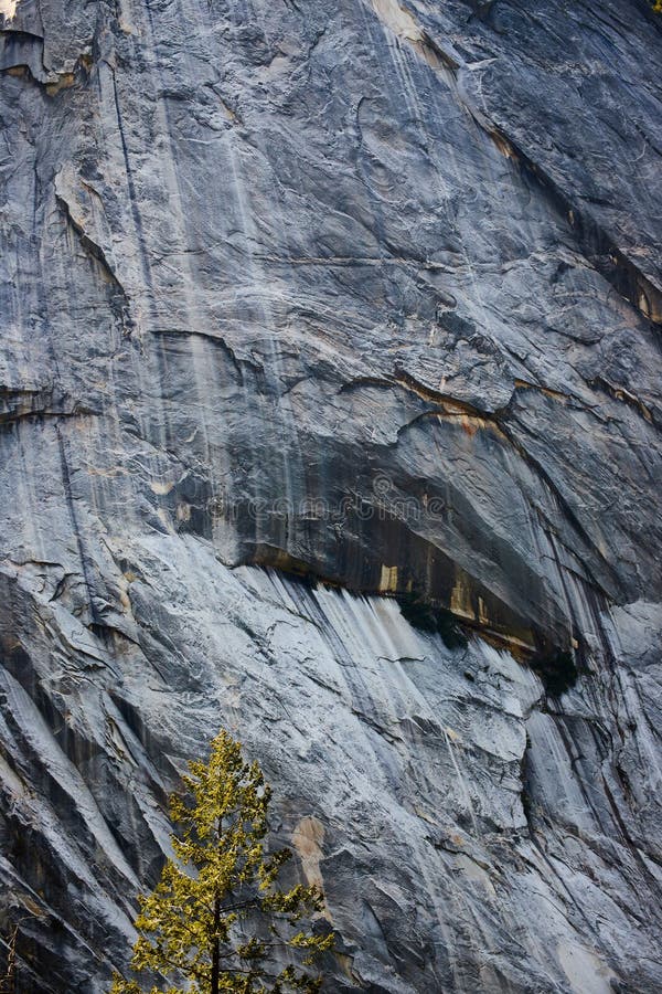 Detail of Large Vertical Grey Rock Wall at Yosemite Stock Photo - Image ...