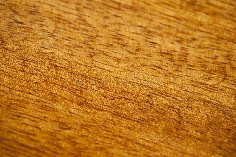 Detail of Light Wood Grain stock image. Image of close - 252534905
