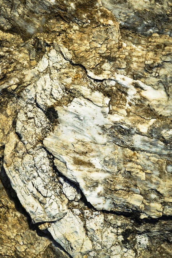 Detail of a Limestone Erosion Stock Photo - Image of detail, outdoor ...