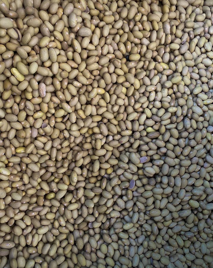 Detail of Mexican Beans. Group of Beans Stock Image - Image of organic ...