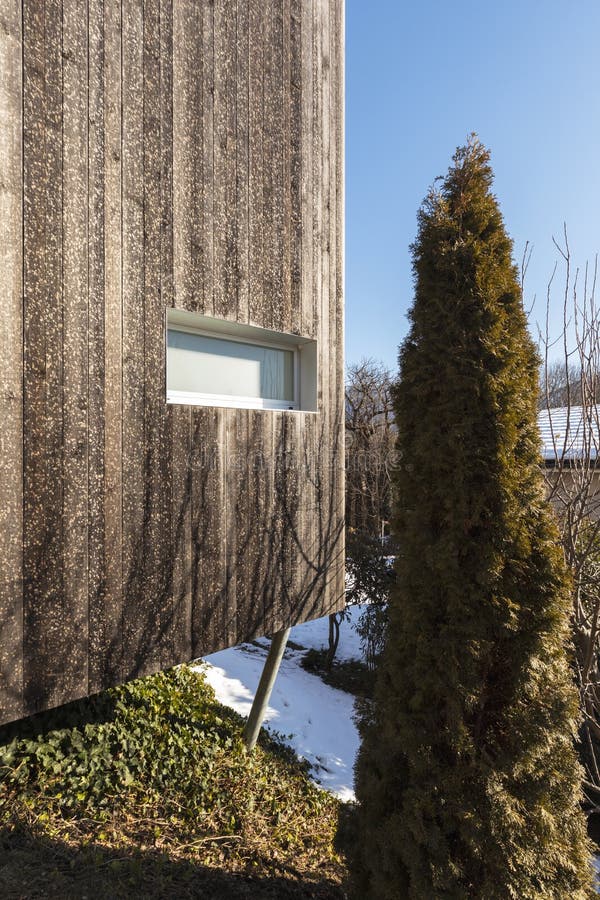 Detail of Modern Wooden House with a Window and a Tree by Its Side ...