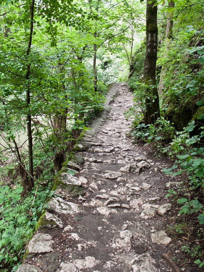 Mountain Path in a Middle of a Forest Stock Photo - Image of mountain ...