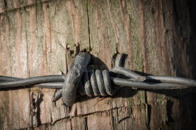 Macro View of Barbed-wire Seen on a Border Control Crossing Point ...