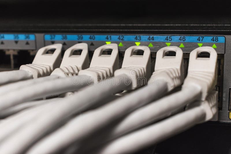 Detail of a Network Cables Connected To a Hub Inside a ...