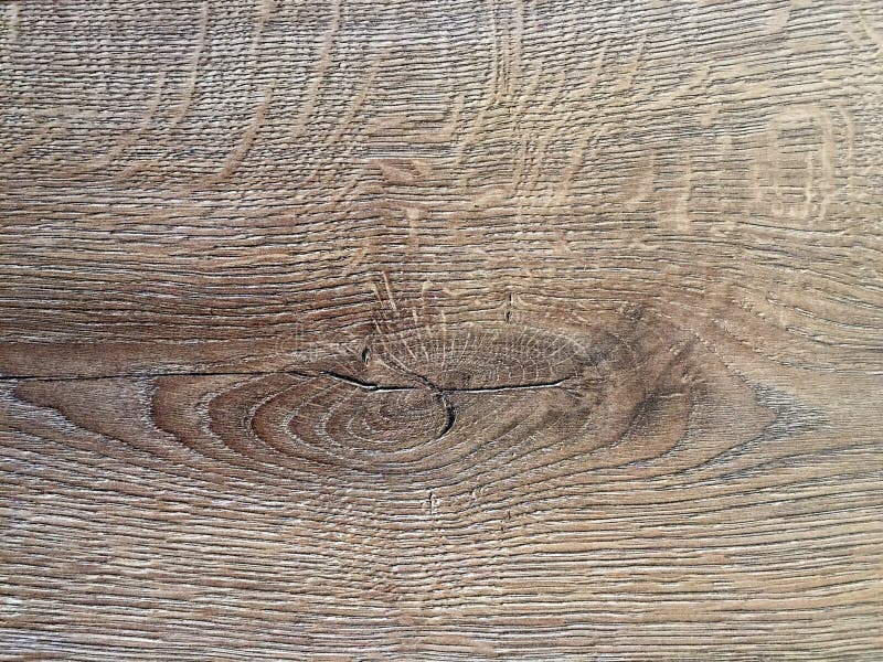 Detail of a Oak Panel Wallpaper Stock Photo - Image of aged, dark ...