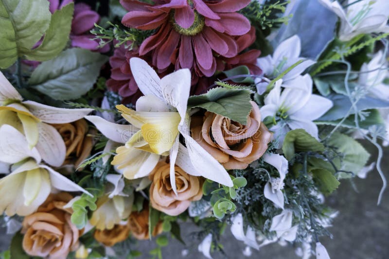 Roses in the cemetery stock image. Image of flower, green - 271181981