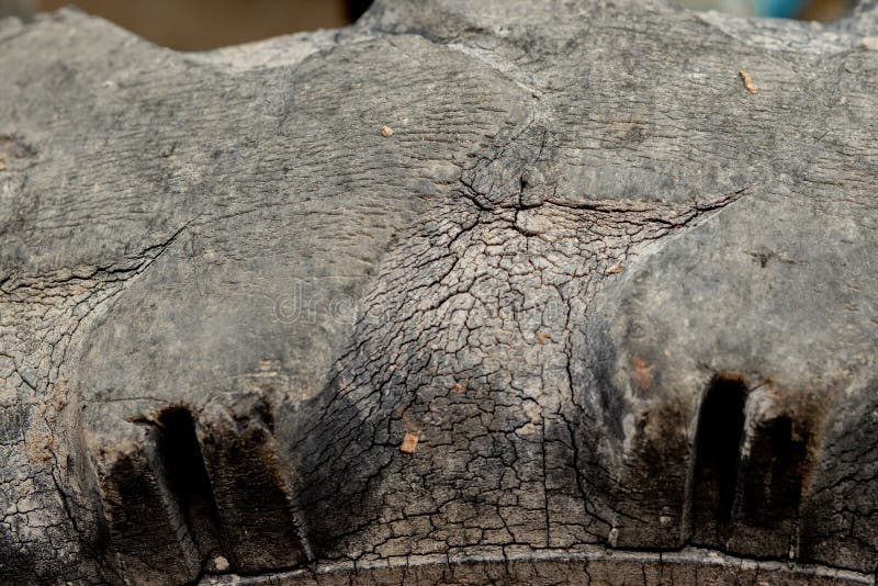 Detail of an Old, Cracked Tractor Tire Stock Photo - Image of relief ...