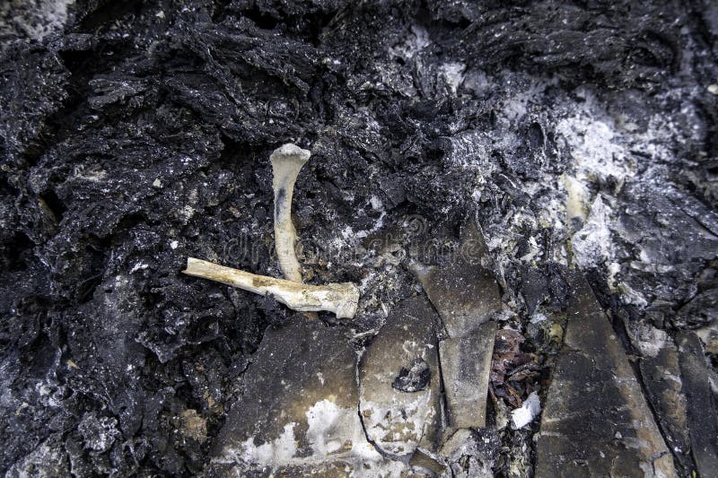 Burned human bones stock photo. Image of sprinkle, local - 276074110