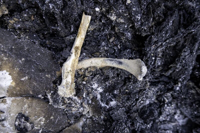 Burned human bones stock photo. Image of ashes, creepy - 276654734