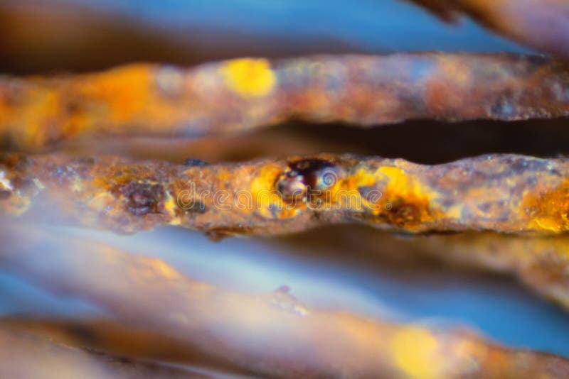 Detail of Old Rusty Wire Close-up Stock Image - Image of material ...