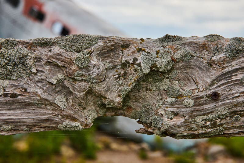 Detail of Old Wood Fence Post Deteriorating with Soft Crashed Airplane ...