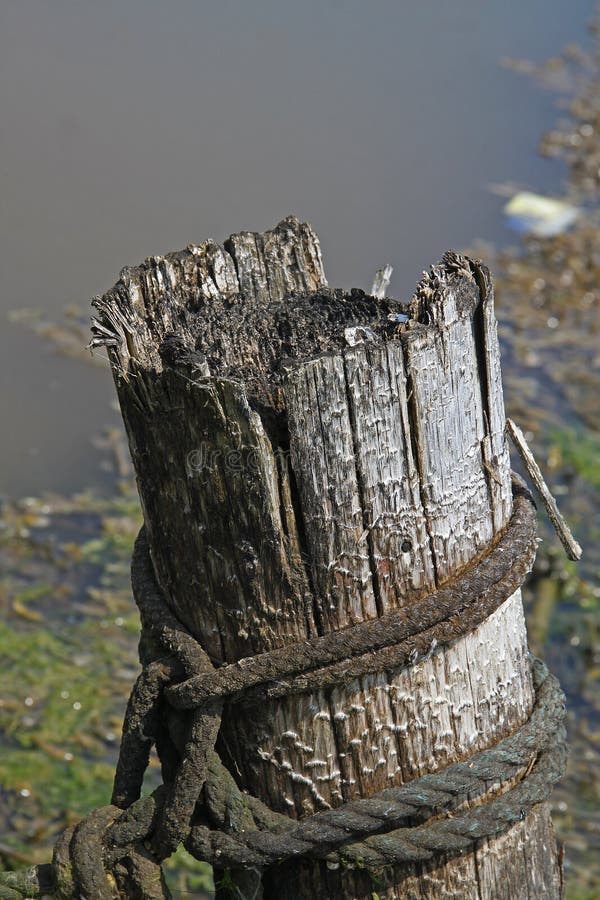Detail of Old Wooden Post with Rope Stock Image - Image of rough, wood ...
