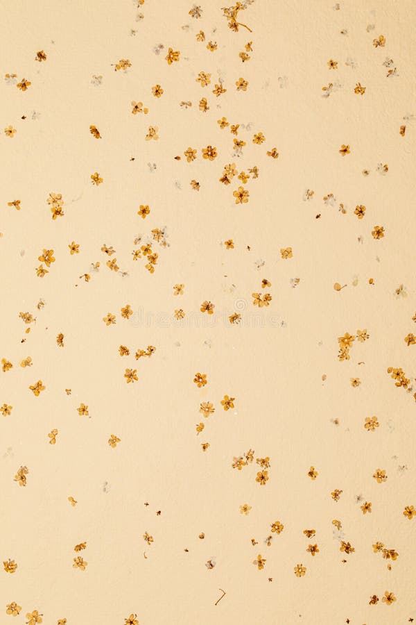 Detail Paper Structure. Paper Background Whit Flowers Stock Image ...