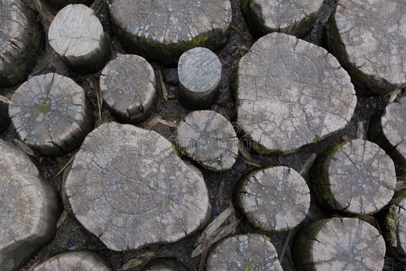 Detail of Path Made from Wooden Logs Stock Image - Image of season ...
