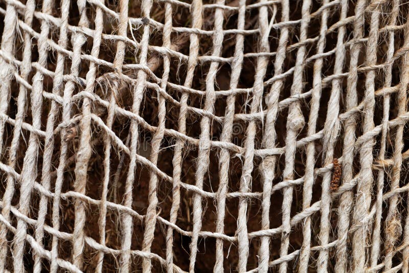 Detail Photo of an Old Mesh Stock Image - Image of growing, land: 96767729