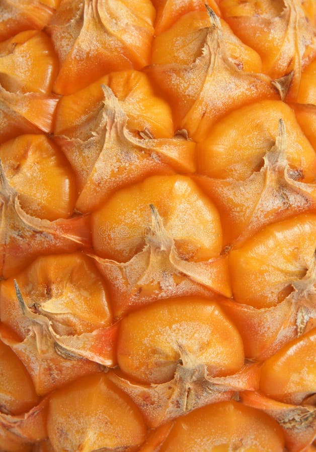 Close up of pineapple skin stock photo. Image of caribbean - 10247358