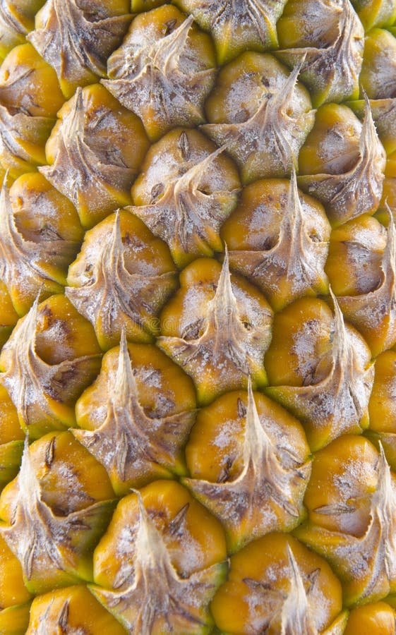 Pineapple close up 3 stock photo. Image of close, healthy - 13349192