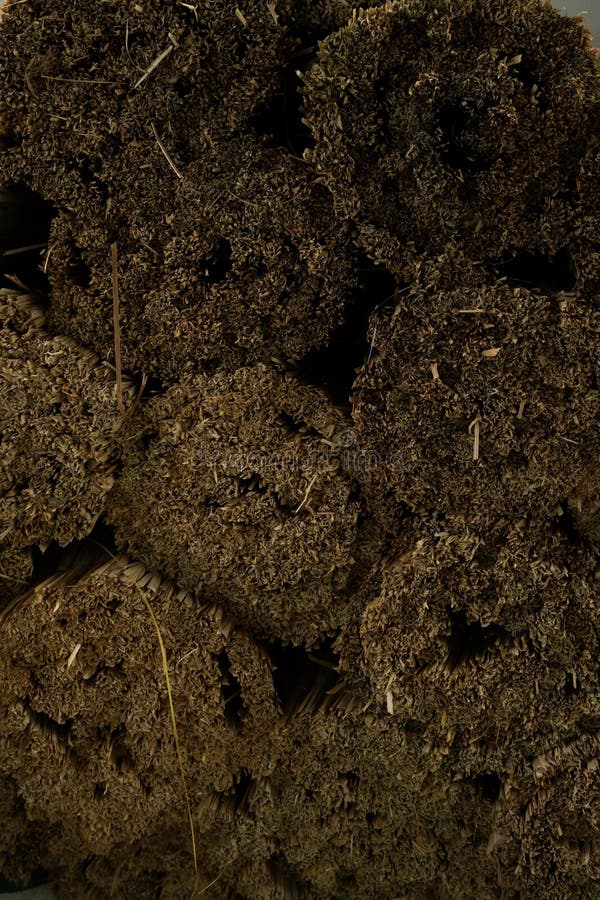 Detail of Plant Bundle Group in Close Stock Image - Image of closeup ...