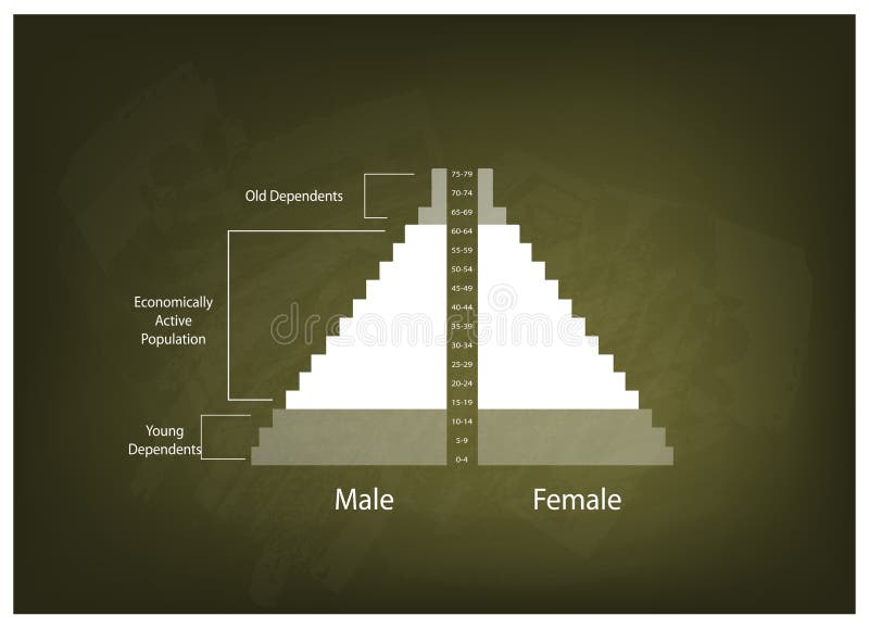 Detail of Population Pyramids Graphs Depend on Age Stock Vector ...
