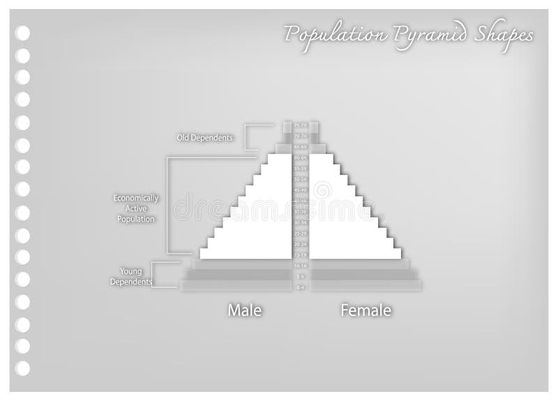 Detail of Population Pyramids Graphs Depend on Age Stock Vector ...