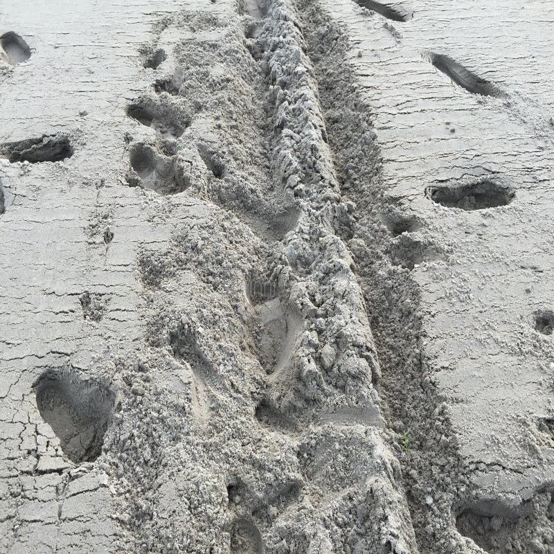 This is a Detail of Prints in the Sand Stock Image - Image of ...
