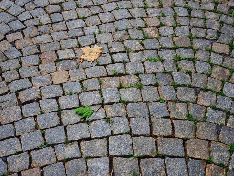 Detail of Natural Cobblestone or Belgian Block Public Road Stock Photo ...
