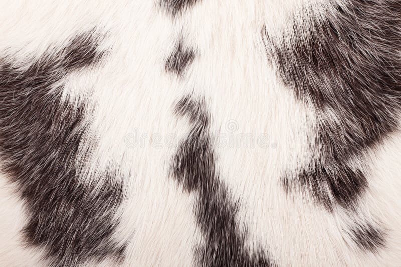 730 Rabbit Fur Texture Photos - Free & Royalty-Free Stock Photos from ...