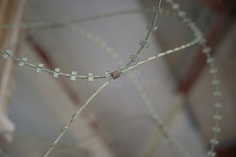 Detail of a Razor Wire on a Fence Stock Image - Image of fence, prison ...
