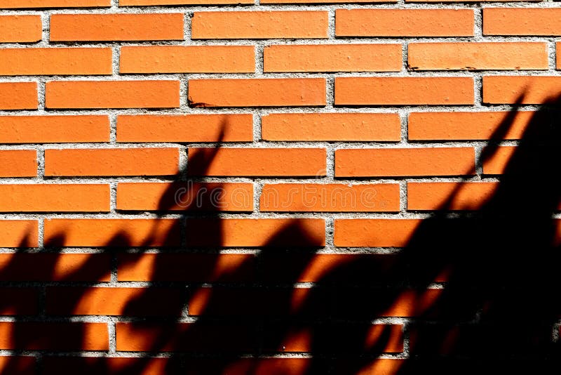 Red Brick Wall with the Shadow of a Plant Stock Photo - Image of ...