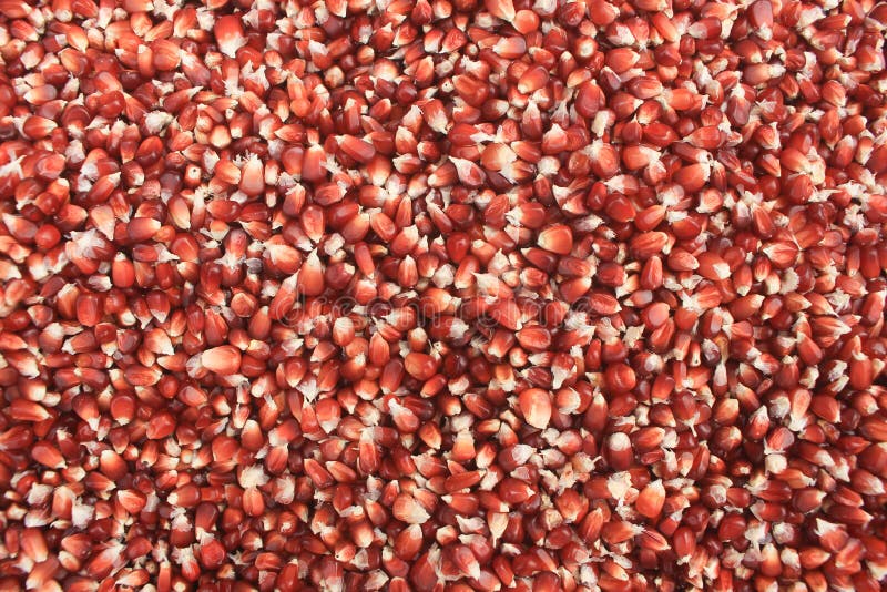 Detail of Red Corn Kernels with Artistic Abstract Pattern Stock Photo ...